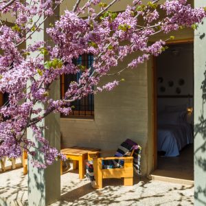 Beit Ammiq · Guesthouse in the Bekaa Valley · L’Hôte Libanais