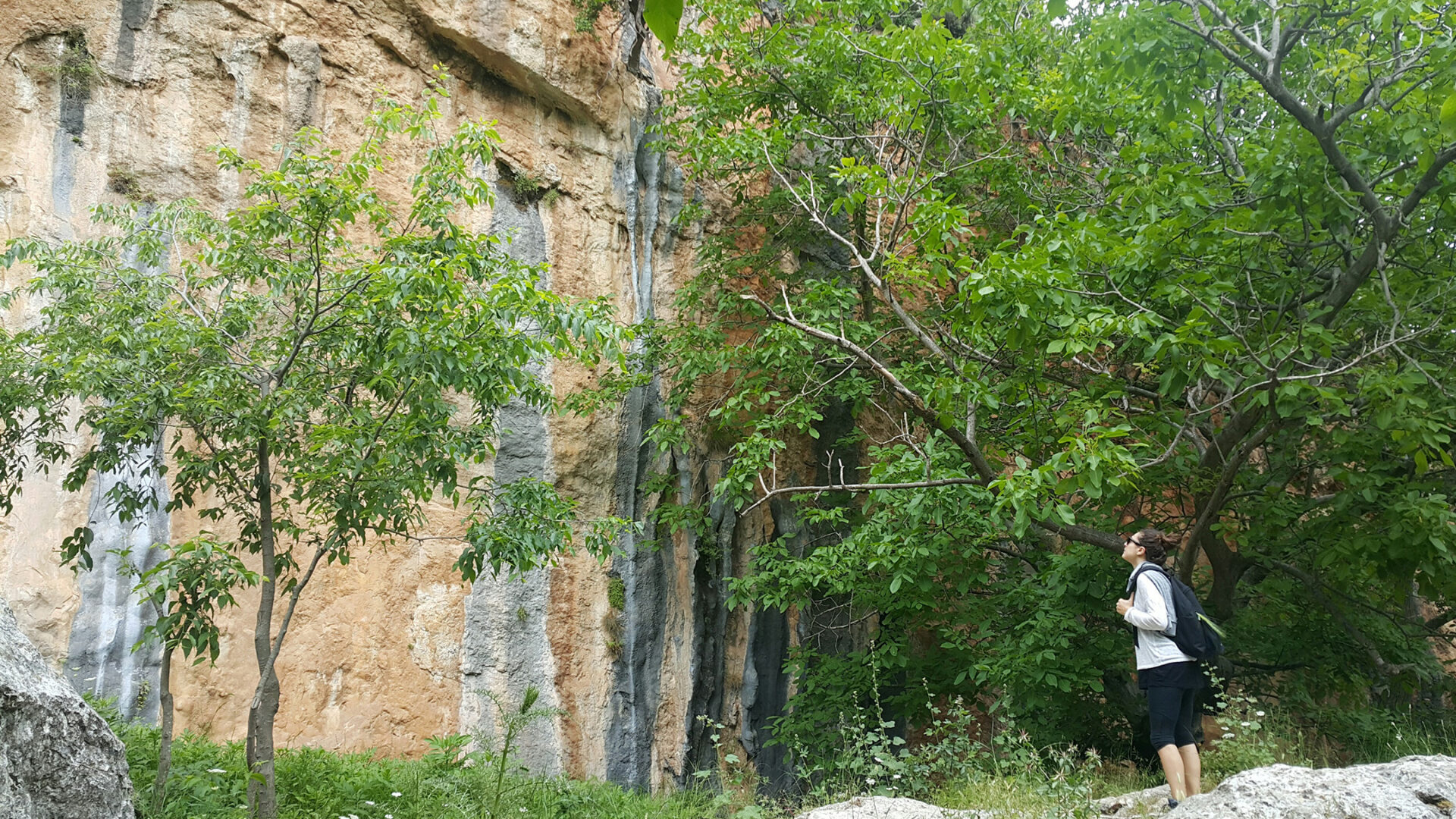 Ecotourism in Lebanon | Tannourine Cedars Reserve | Nahr El Joz